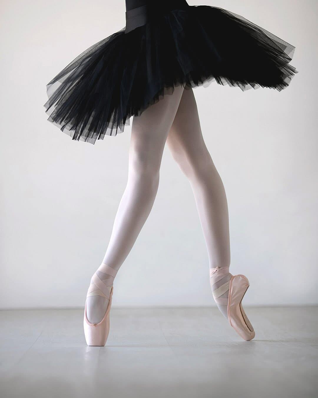 Pointe Shoes Collection at Dance Tampa Online